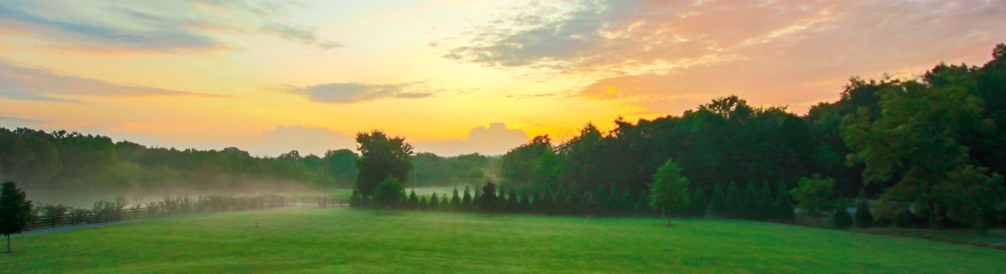 About our Real Estate Agency — Town and Country Realtors